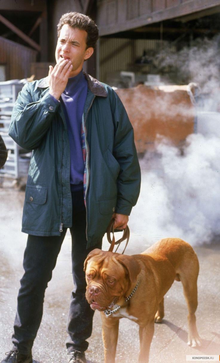 “TURNER & HOOCH (1989) …Tom Hanks [Turner] & Beasley [Hooch] waiting to ...
