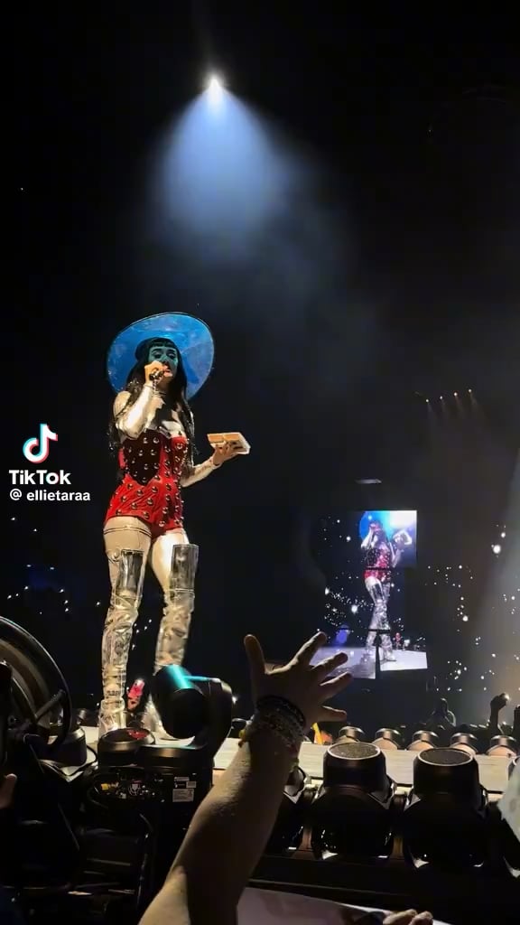 Katy Perry knocks labubu out of fans hand with mic, offers timtams ...