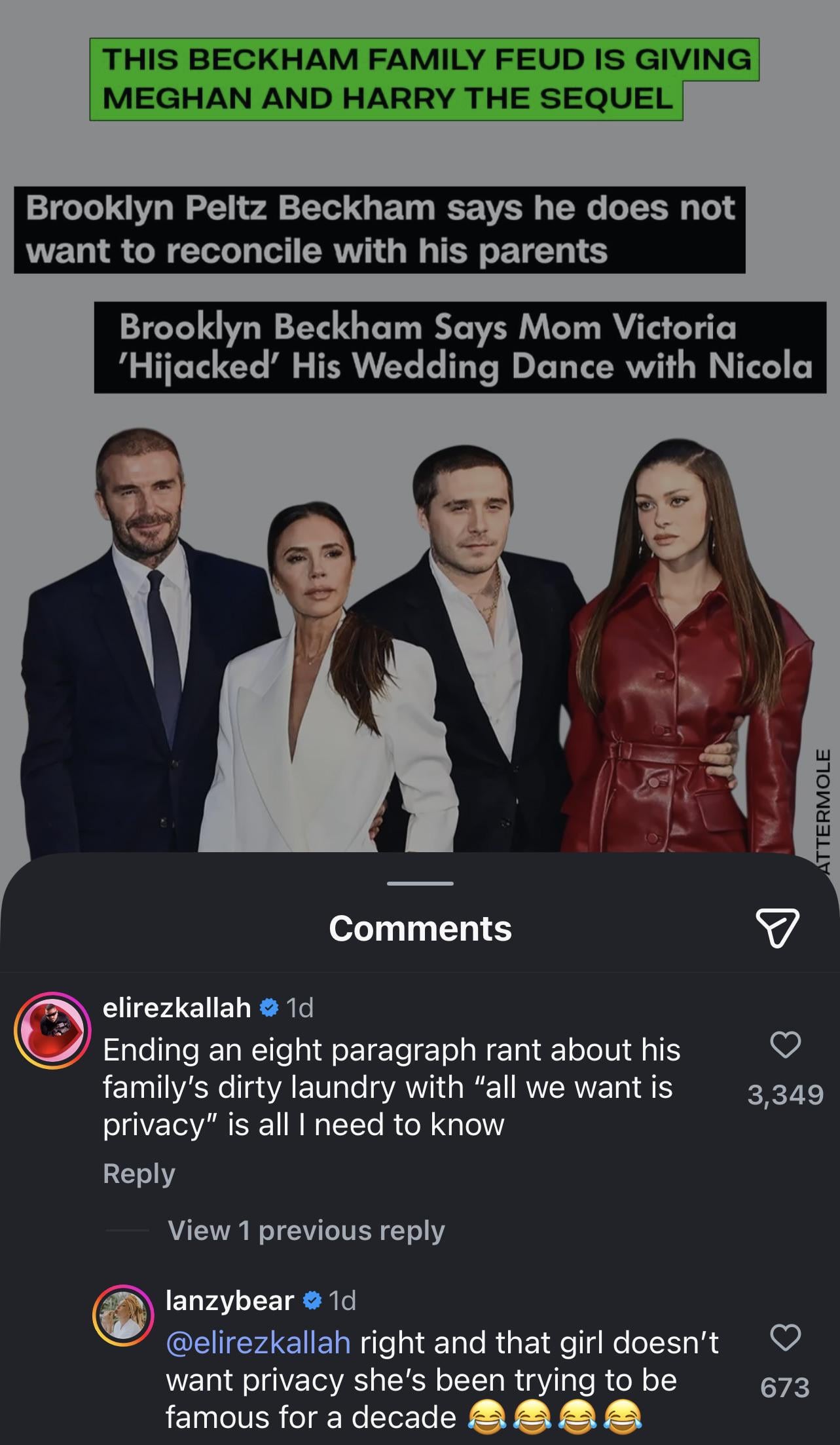 Alana Hadid (the sister of Nicola Peltz’s ex boyfriend Anwar Hadid ...